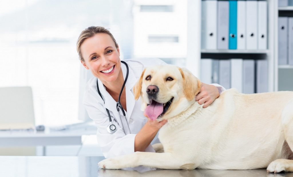 Prevention & Wellness | Etowah Veterinary Hospital